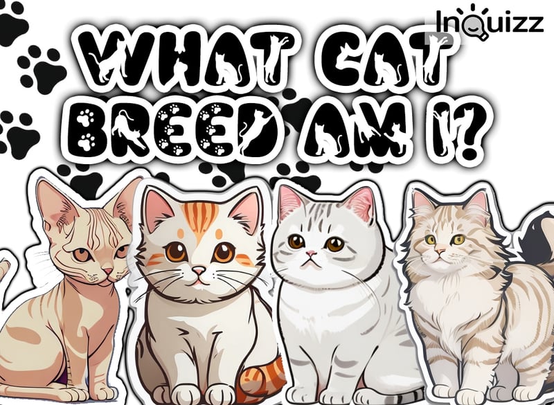 What Cat Breed Am I?