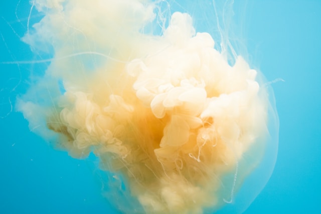 Discover Your True Moral Compass with our Morality Test